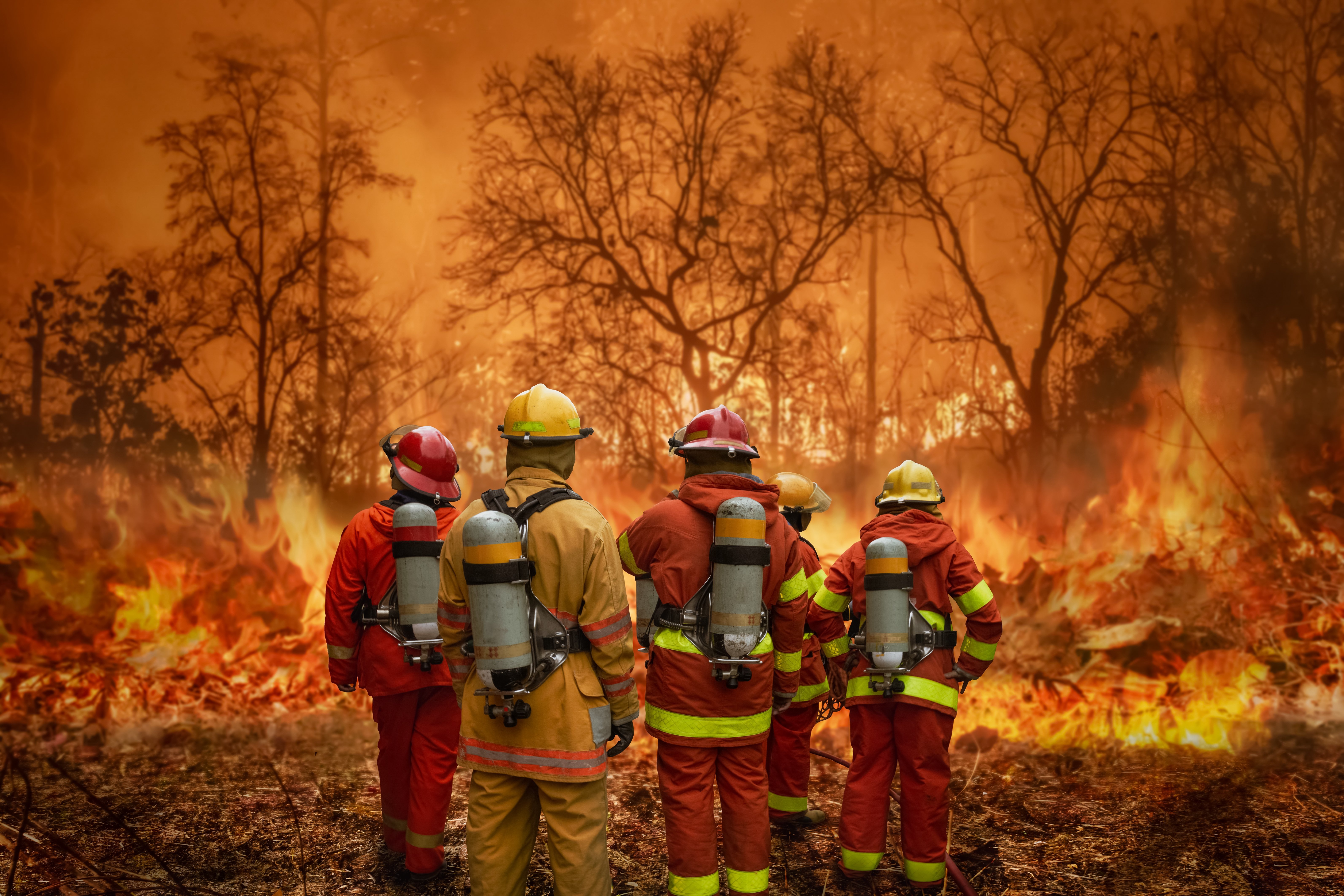 Extreme weather events: The water cycle in the face of climate change